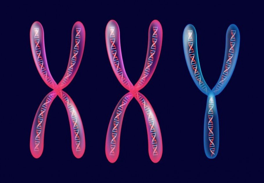 Klinefelter syndrome: Everything you need to know | The Curious Gen
